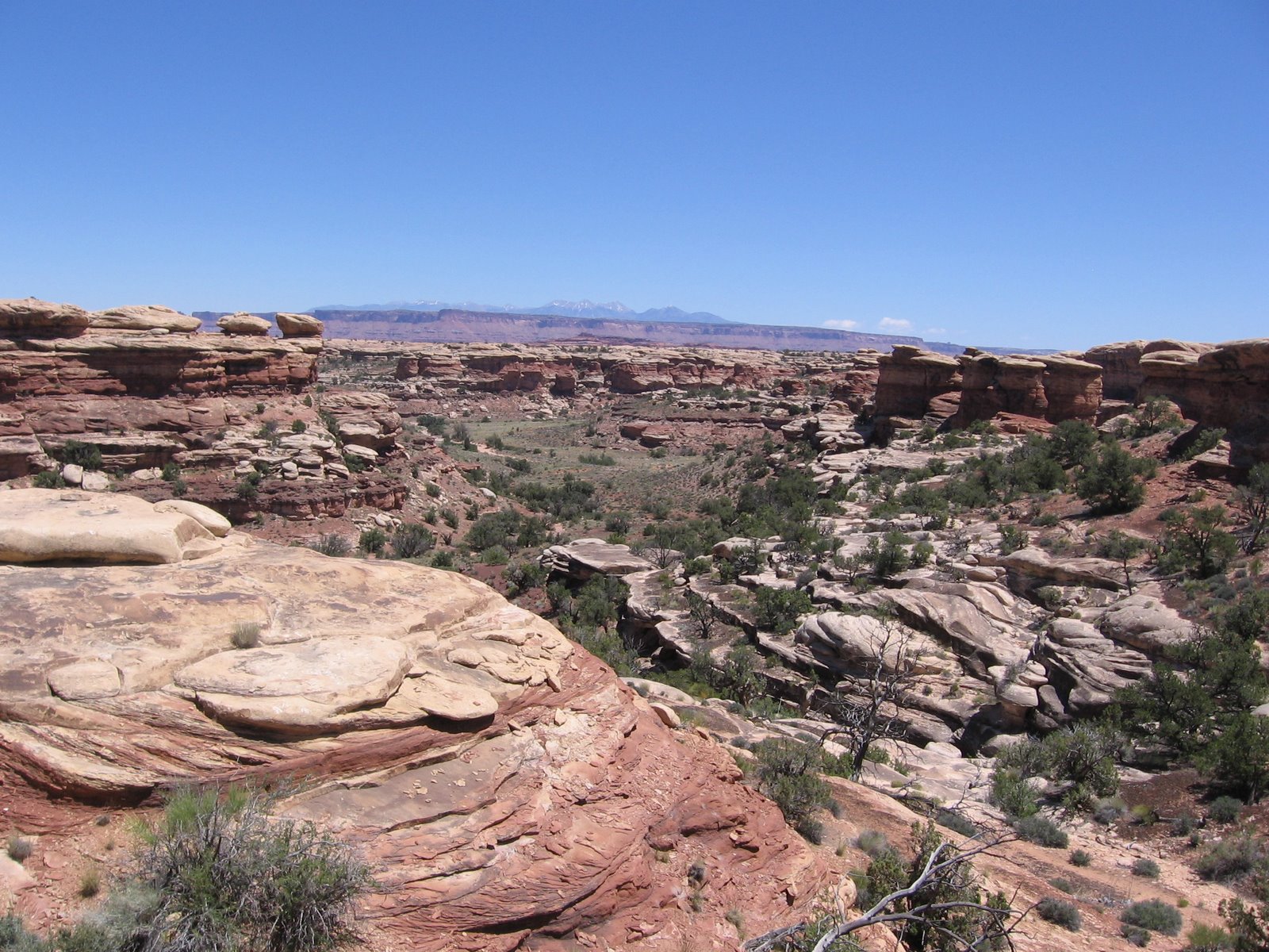 Four Corners Hikes-Canyonlands: Confluence Overlook Trail