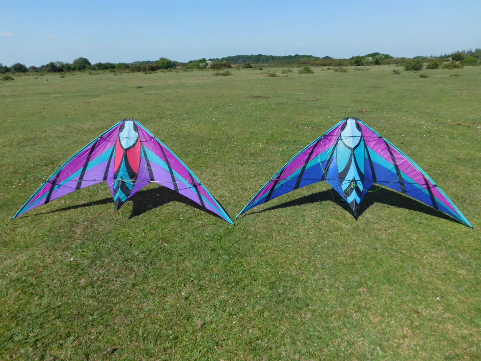 Flying Fish Kiting Team: Double Luna Moth!