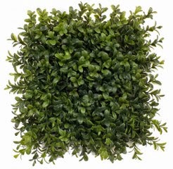 Evergreen Direct: The ultimate guide to buying an artificial hedge