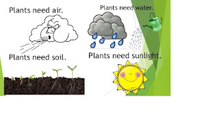 learningL2gether: Photosynthesis Song