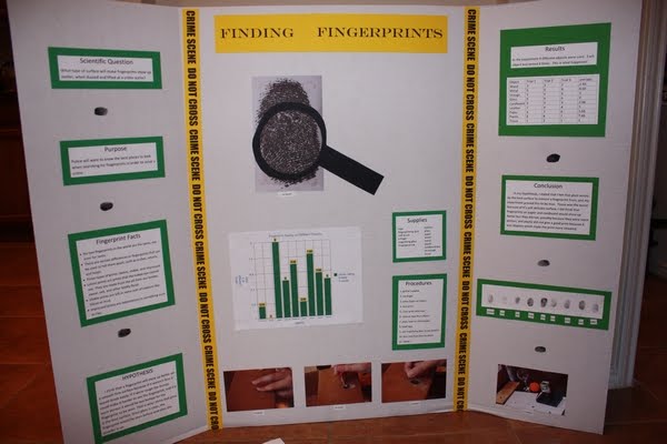 2 boys and a girl: Ethan's science fair project