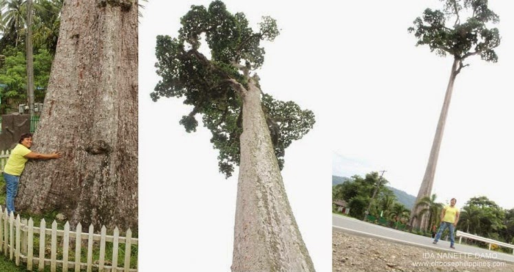 AGUSAN DEL SUR: 2016