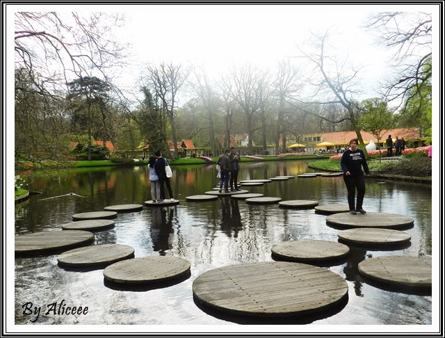 Ziua 4 Gradina Keukenhof - pas cu pas printre rauri de lalele ...