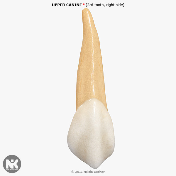 kesehatan gigi dan mulut: GARIS BESAR MATERI INSTRUKSIONAL (GBMI)