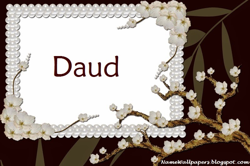 Daud Name Wallpapers Daud ~ Name Wallpaper Urdu Name Meaning Name ...
