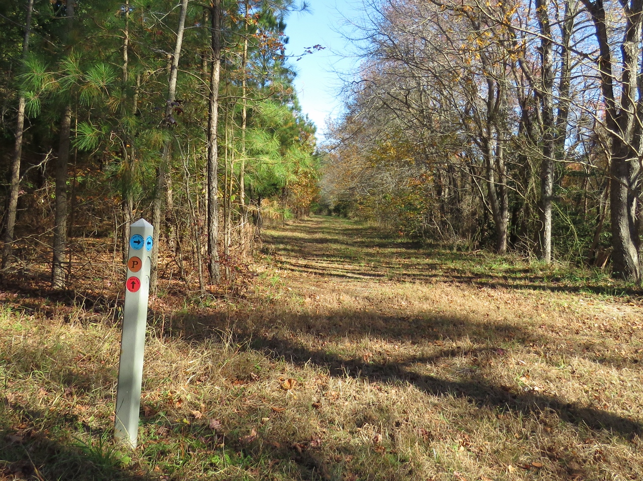Gone Hikin': Prime Hook National Wildlife Refuge, DE