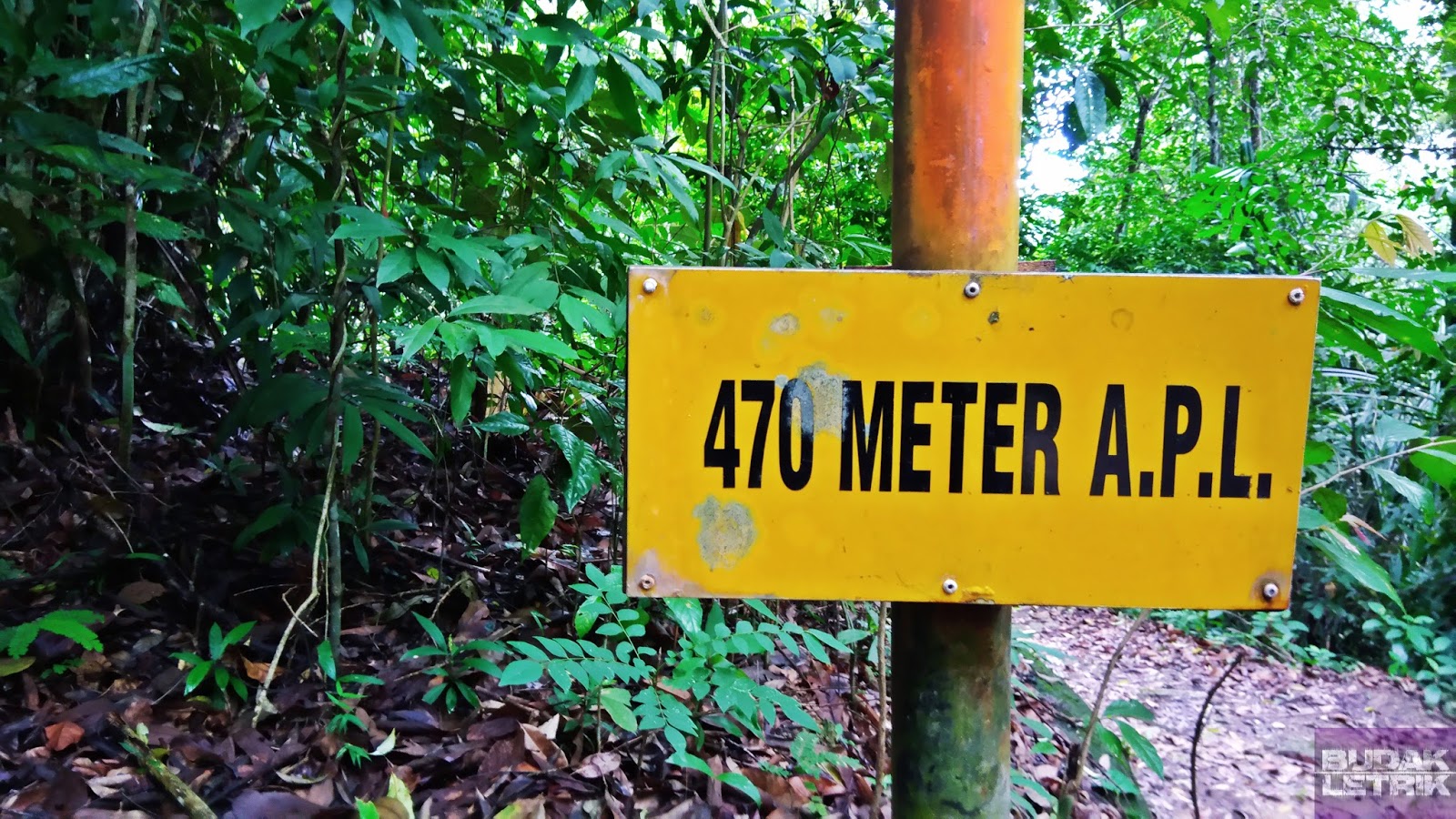 Budak Letrik: Bukit Bendera Hiking via Laluan Warisan