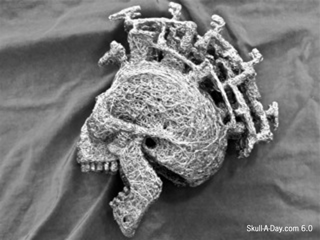 "Emerging Insanity" Skull