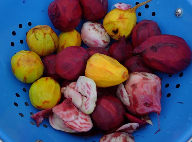 Tasting Pages: Rainbow Beet(root) Tart Recipe