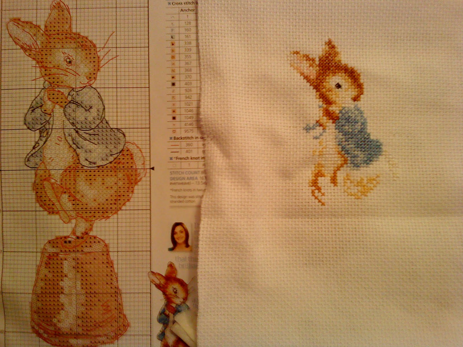 Anchor Peter Rabbit Cross Stitch - Cross Stitch Patterns
