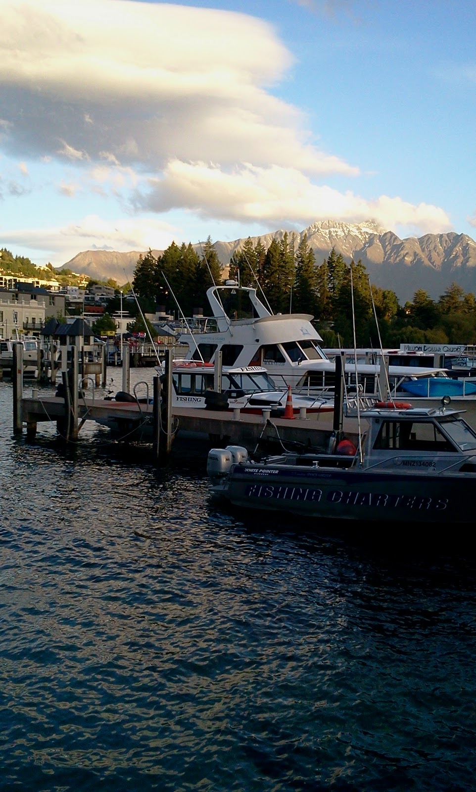Roller coaster!: New Zealand Adventure Trip