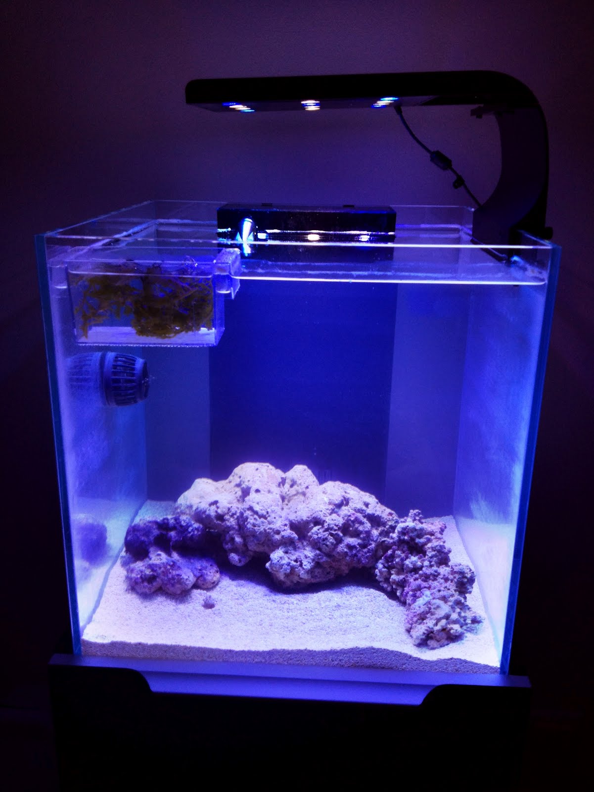 Emboli's Aquariums: [MARINE TANK] Durso Standpipe