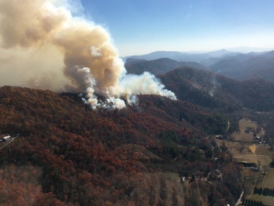 Linda's Bees: Hidden Cost of the Forest Fire in Rabun County