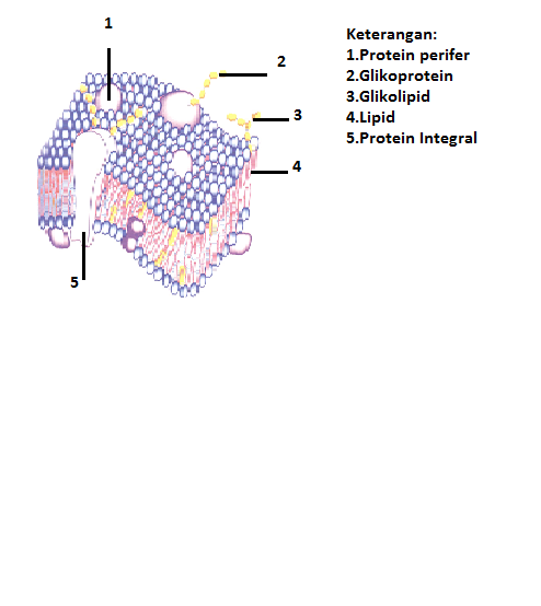 pelestarian alam ok: Komponen Sel