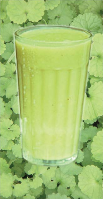 BEST FOOD RECIPES IN SRI LANKA: Kola Kenda