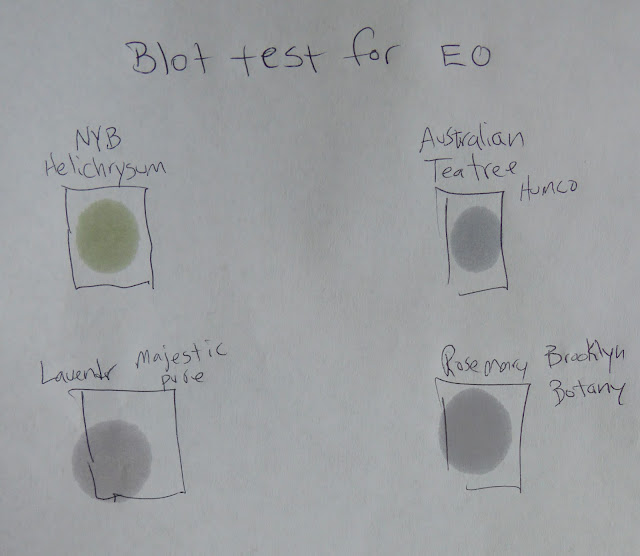 The Enchanted Tree: New York Biology Essential Oils- Blot Test ...