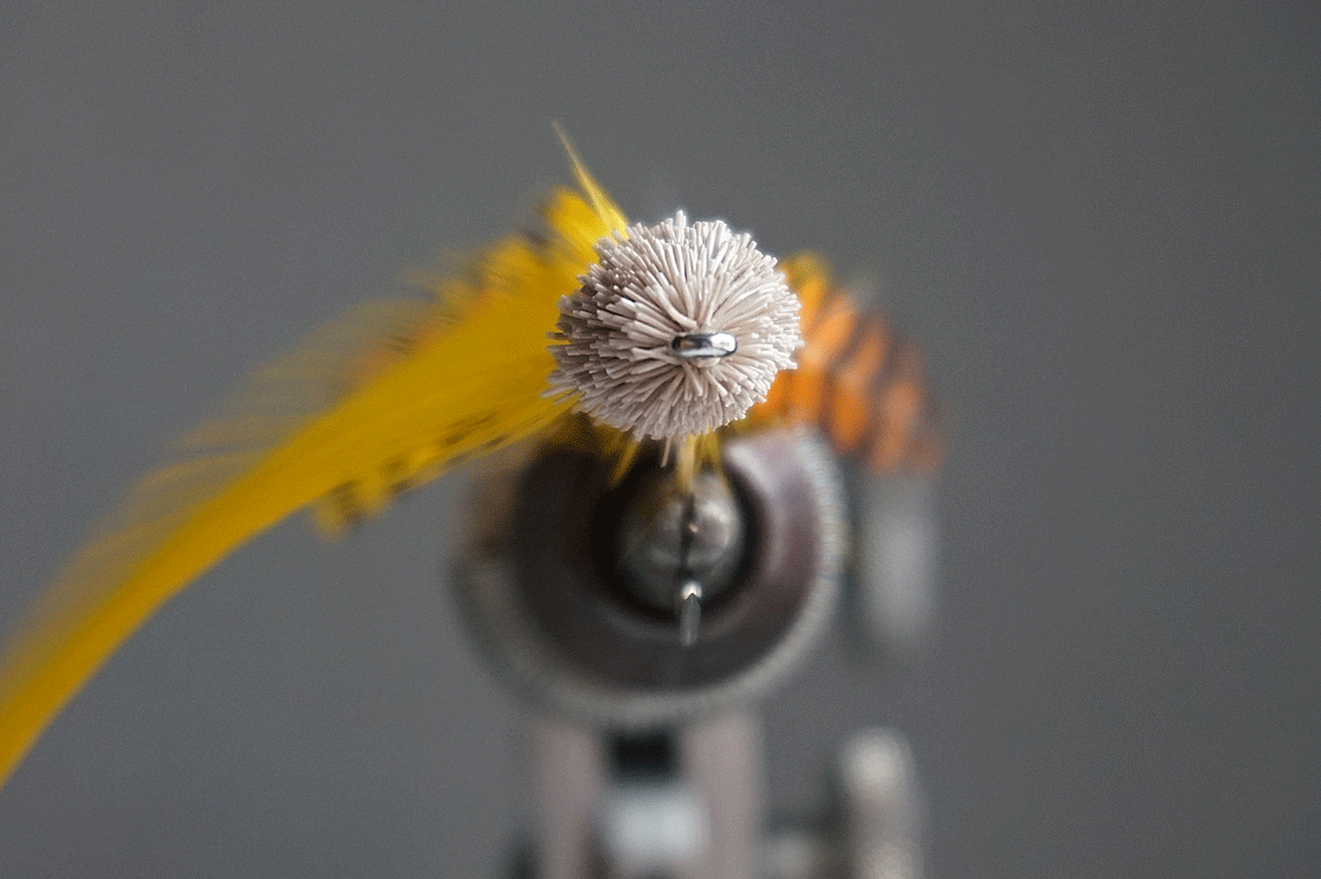 Fly Paper: TCL Special Fly Pattern