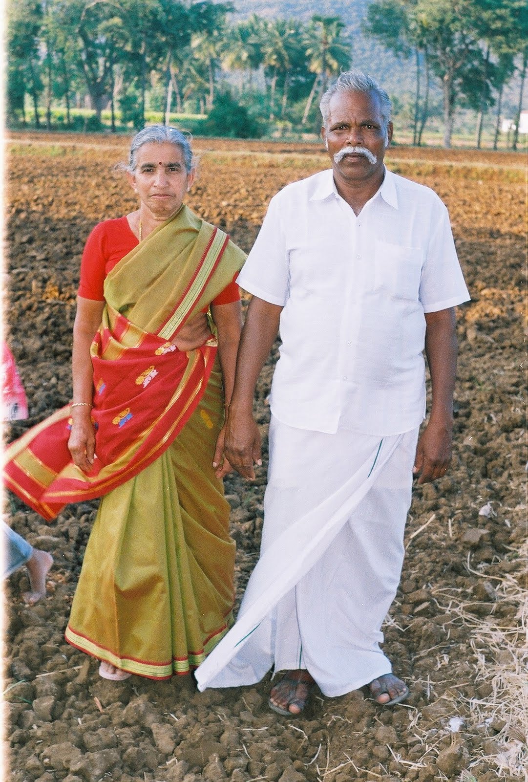 Sankarfoods Organic Farm: Organic Farm at Attur, Salem - Tamilnadu