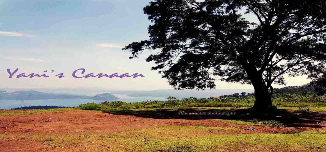 Yani's Canaan: the importance of waiting for your God's Best