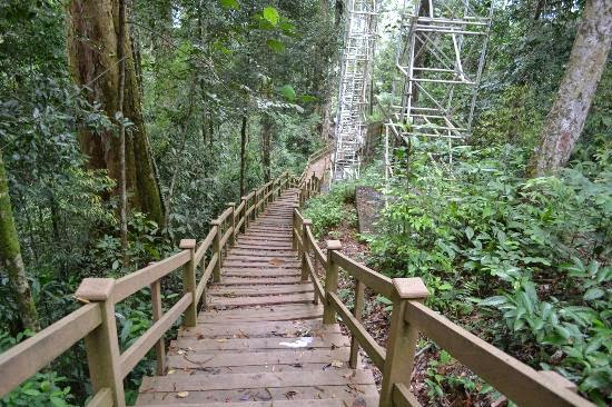 The Amazing place in BRUNEI DARUSSALAM : Temburong