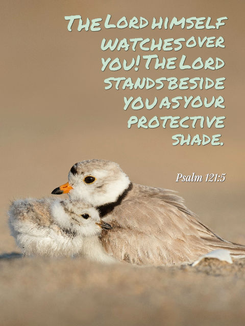 Daily Grace, Todays Godly Reminder , Bible Quotes, Verses, Prayers ...