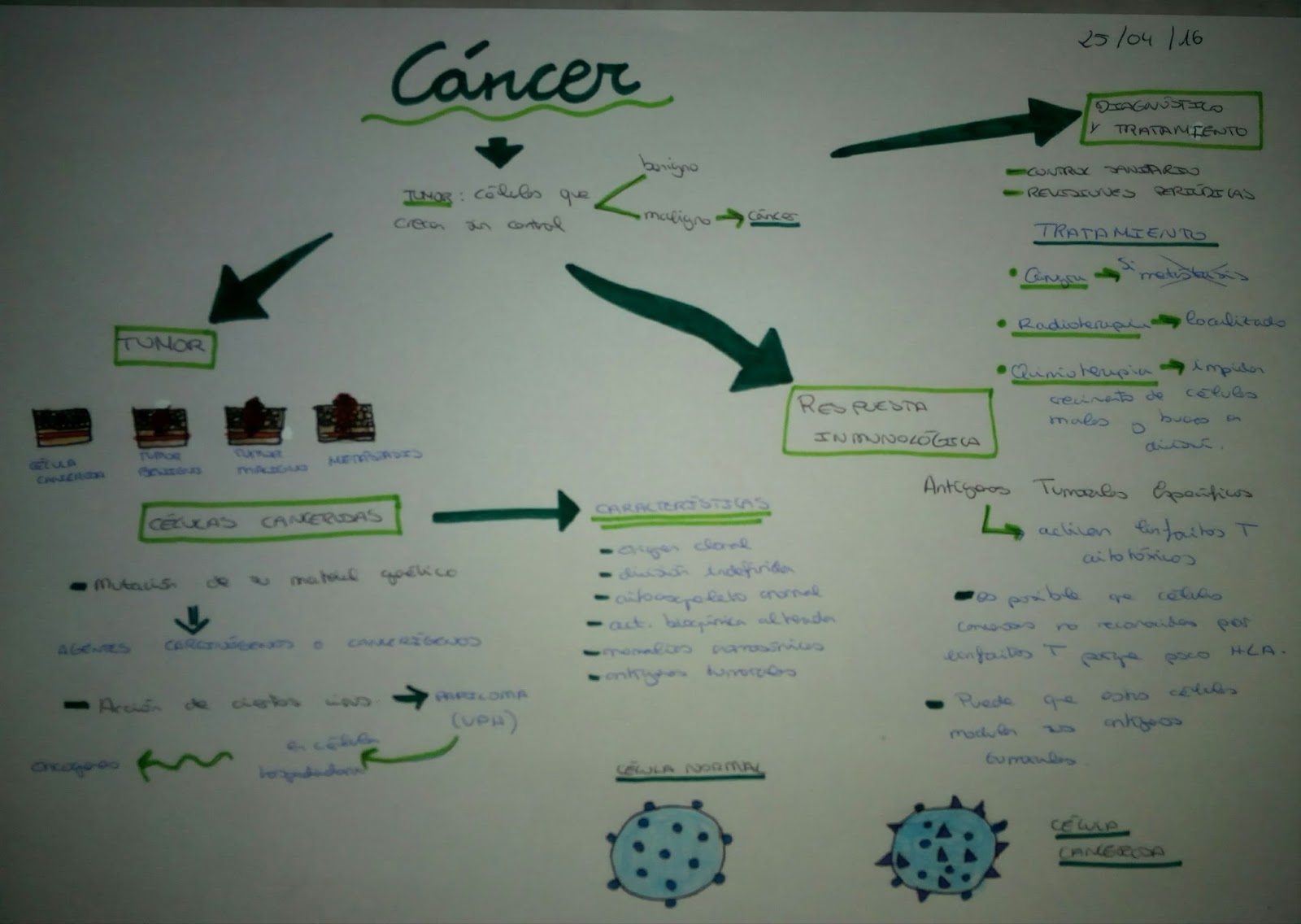 Biologia: Cáncer