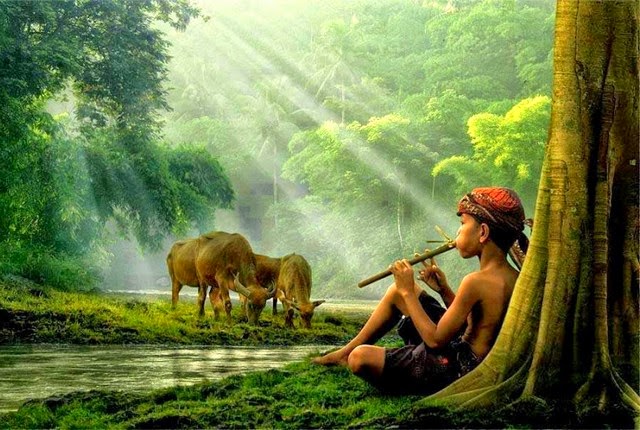 KISAH CERITA ANAK GEMBALA DI ERA TANPA GADGET [SEBELUM ERA DIGITAL ...