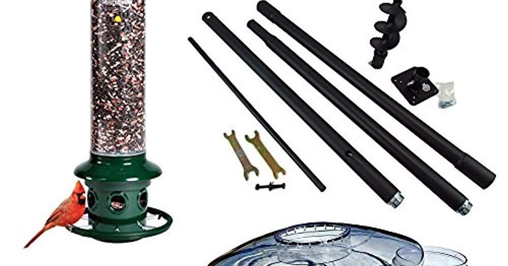 Free standing squirrel proof bird feeder: One stop solution | Best ...