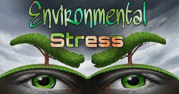 Environmental Stress in Psychology - How Environmental Stressors Affect ...