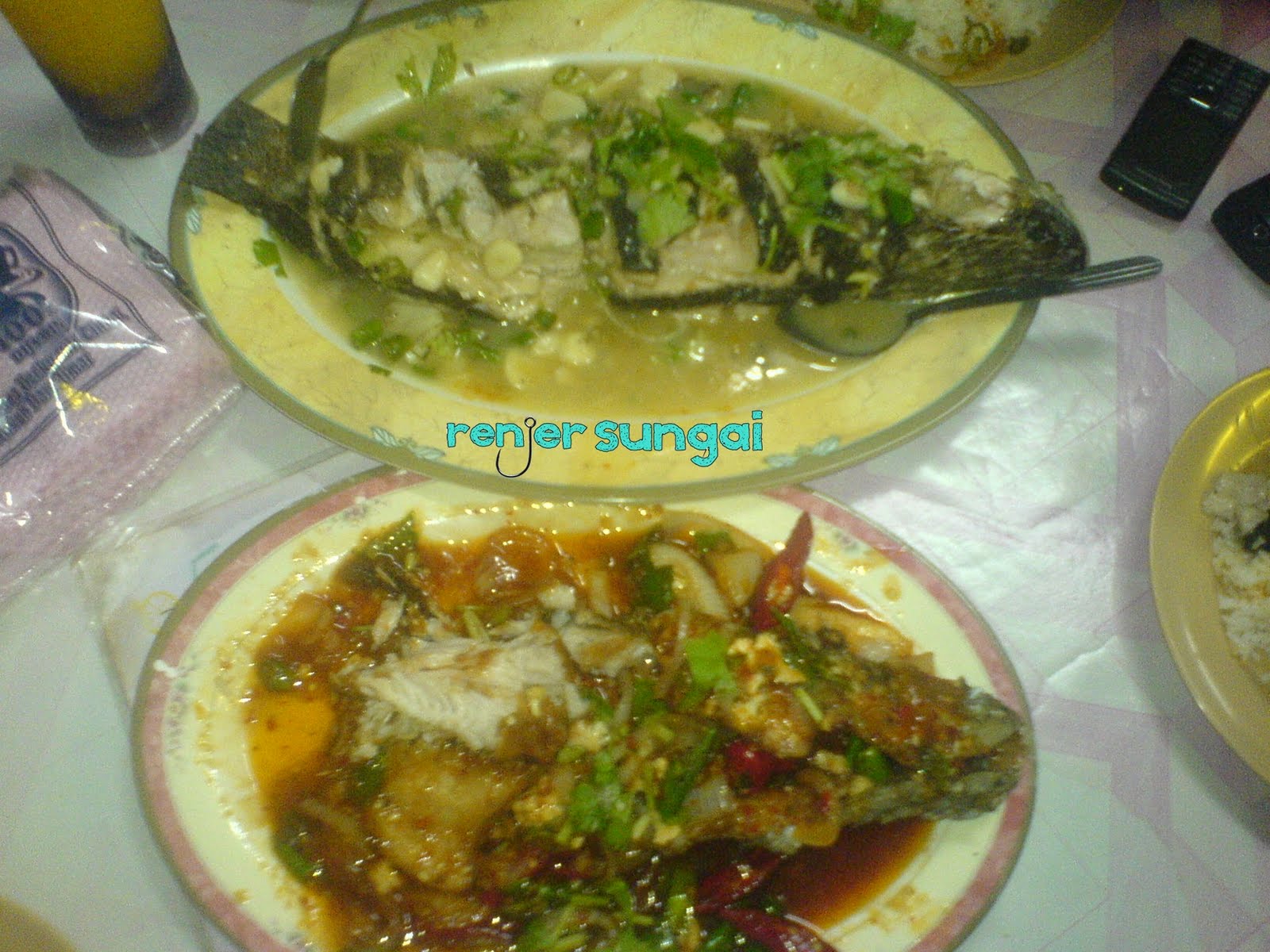 Renjer Sungai: ikan bujuk stim gila sedap!