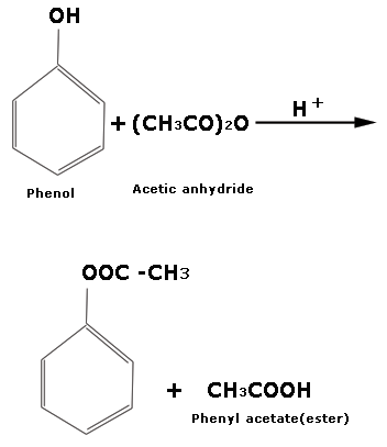 Reaction of alcohol and phenol with carboxylic acid | Mastering ...