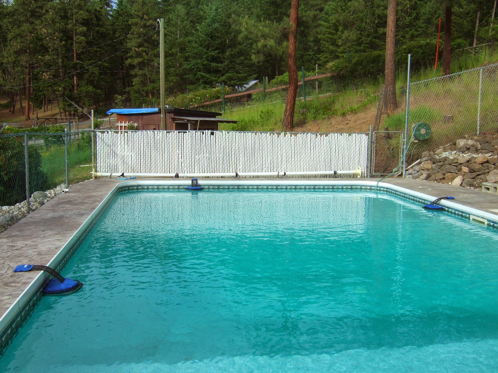 Okanagan Similkameen Stewardship: Frogs & salamanders in your pool?