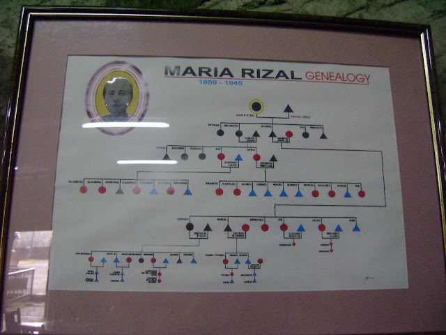 The Life And Works Of Rizal Rizal S Family Genealogy - vrogue.co