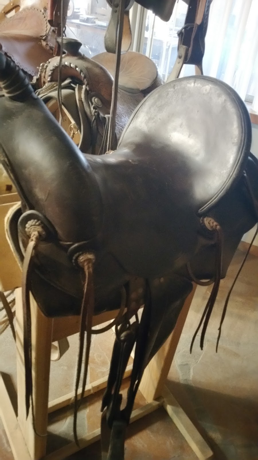 Saddles? | Colt Forum