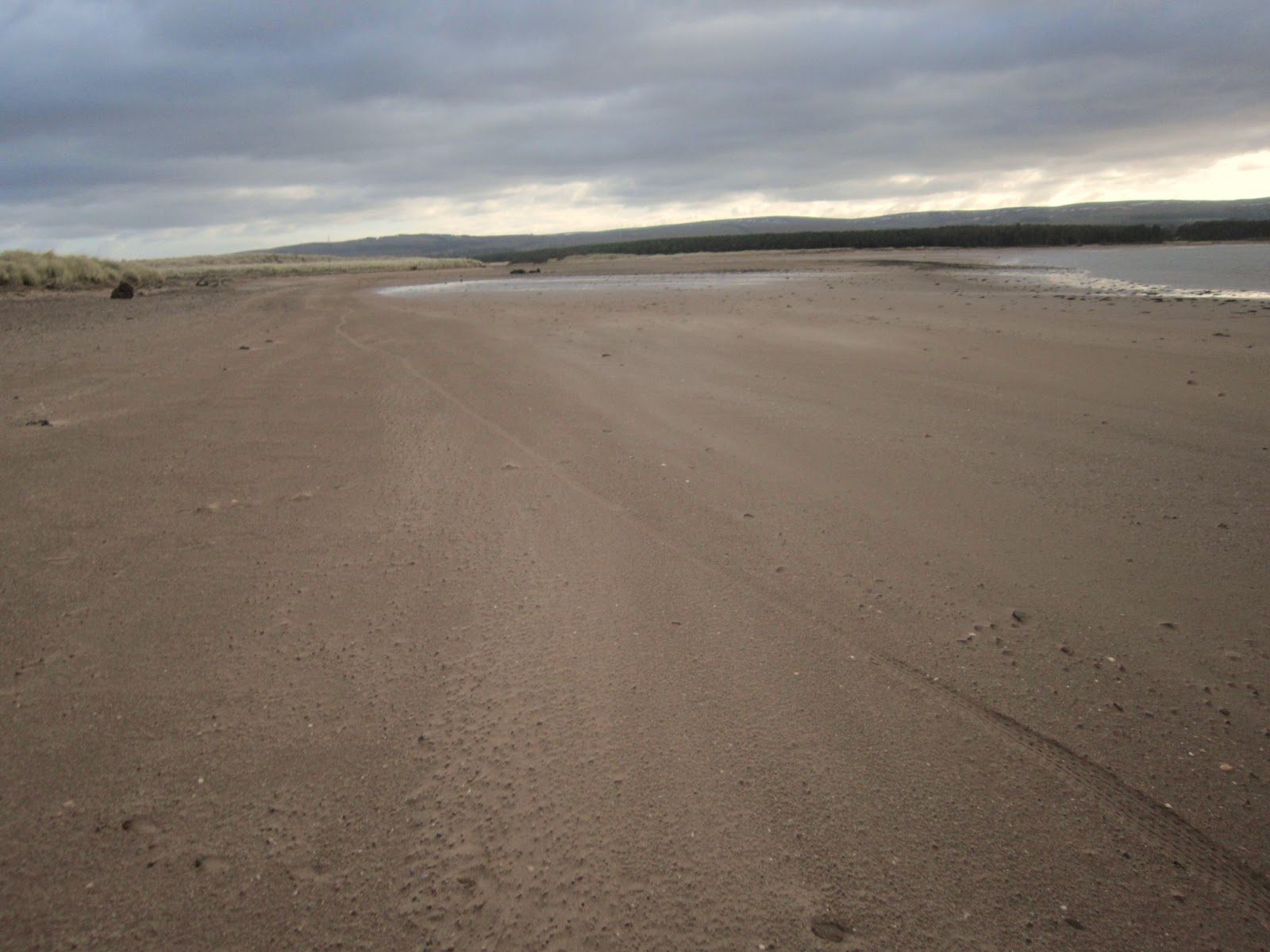 coastrider: A beach ride around John Muir Park...