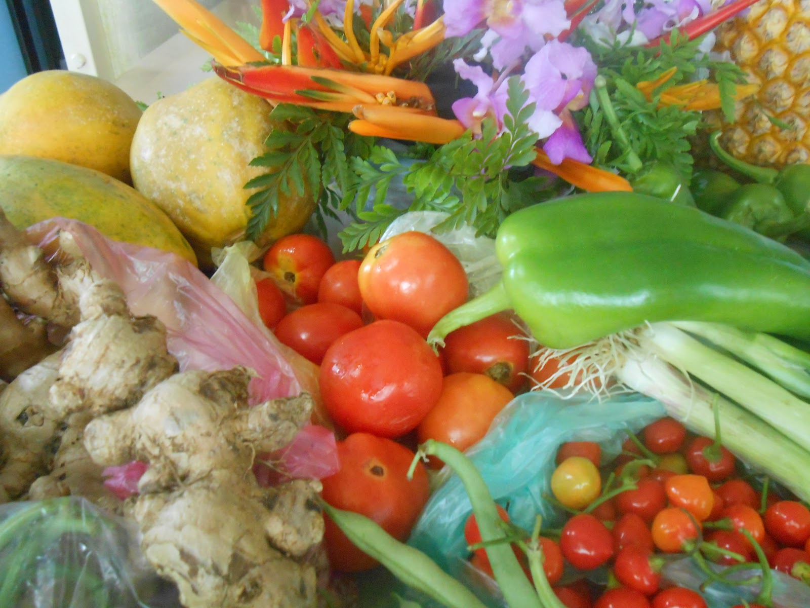 Fiji Diaries: These are a few of my favourite Fijian things