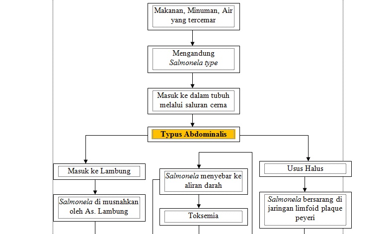 Nurse Selomangleng Bottom: THYPUS ABDOMINALIS