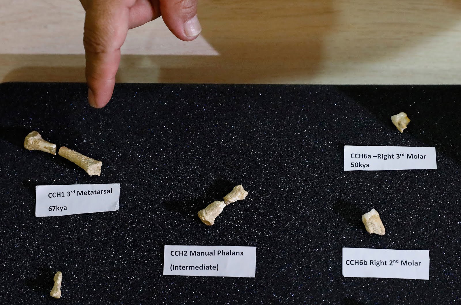 Ancient human species Homo Luzonensis Discovered - BankExamsToday