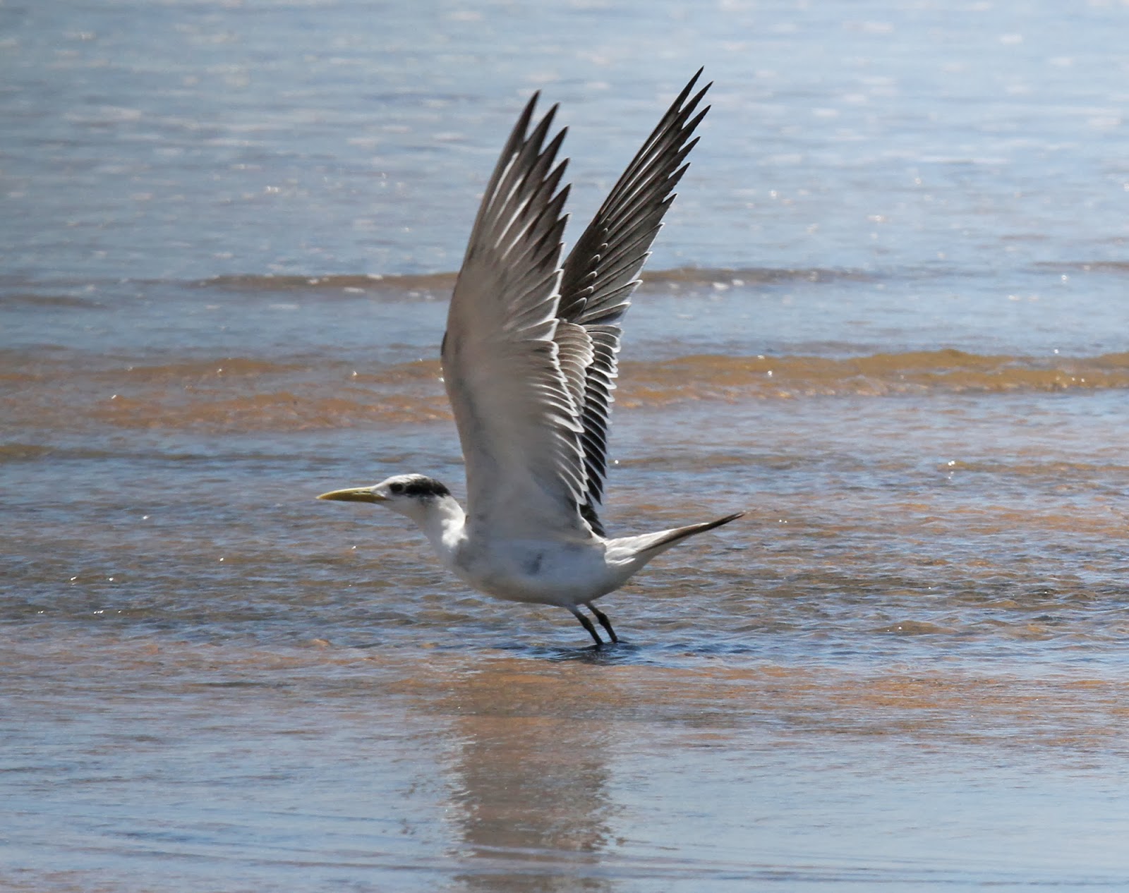 Simon and Karen Spavin: Sabaki River Mouth