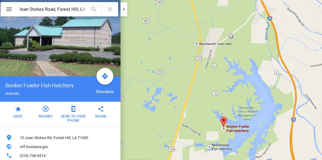 Kisatchie Fly Fishers: FF101