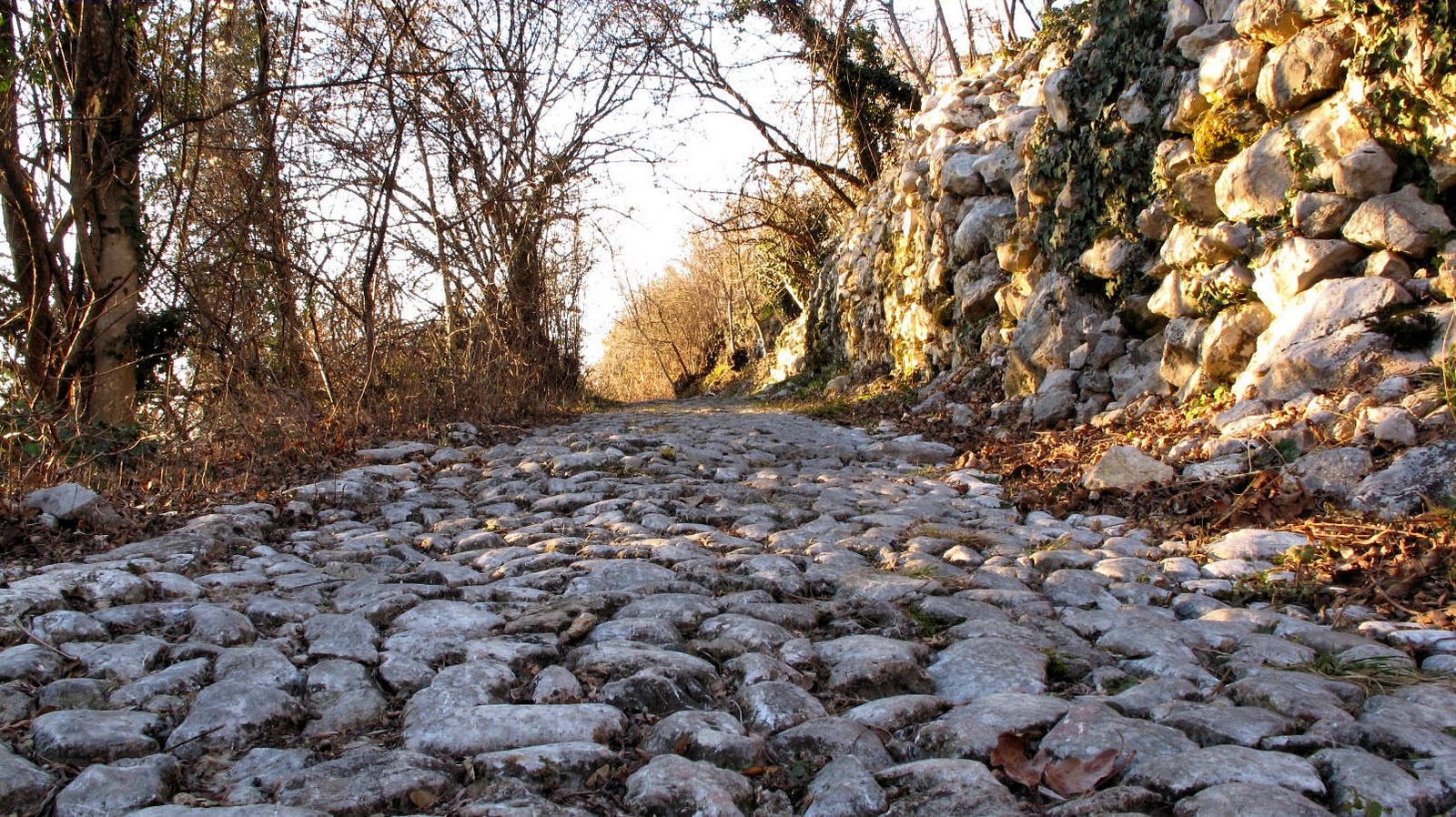 Terre Alte: Strada armentaria romana "Saliso"