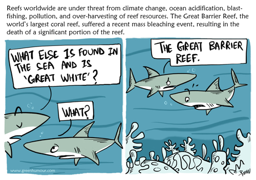 Green Humour: Corals in Cartoons