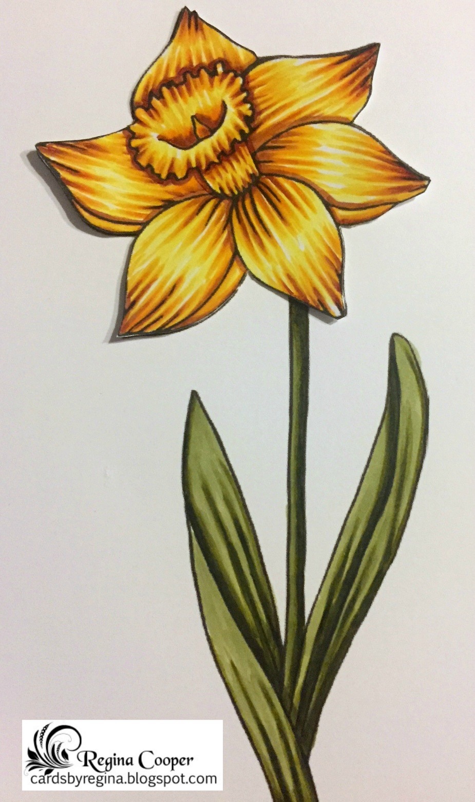 Cards By Regina: Hand Colored Daffodil Sympathy Card