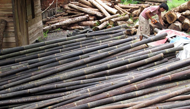 BAMBU ; SEJAK DULU HINGGA KINI - Tanah Airku