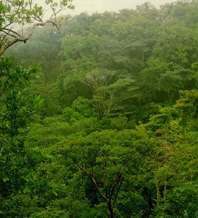 Reserva Nacional "El Triunfo"