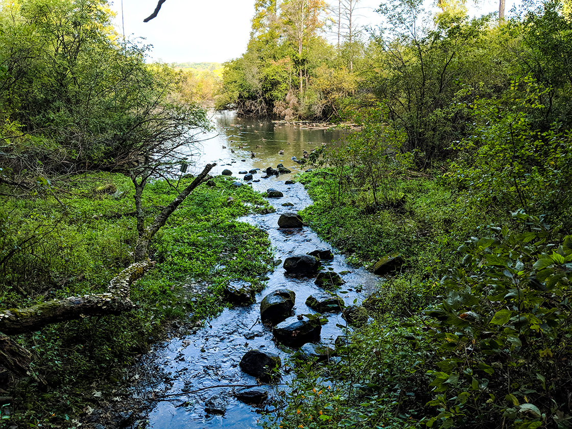 UW Arboretum Hiking Trails