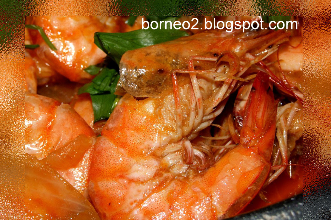 Borneo Island, Awaken To A Different World: Prawn - Indian White Prawn ...