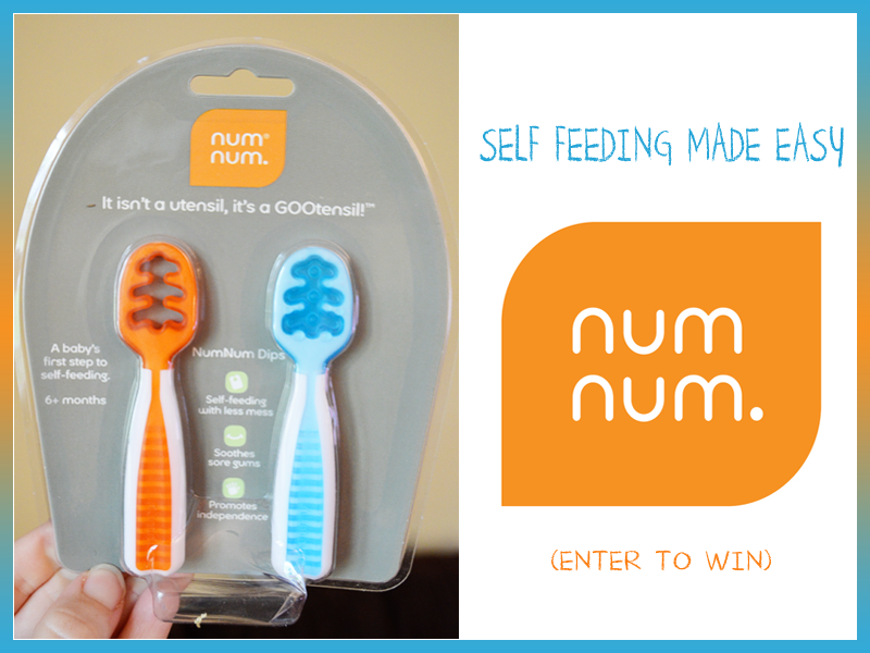 Self Feeding Made Easy with NumNum {Review & Giveaway} - A Modern Day ...