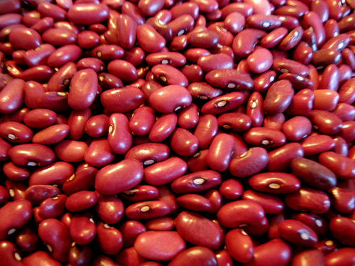 Hickery Holler Farm: Louisiana Red Beans