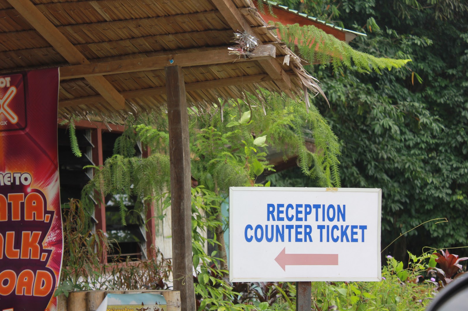 The ONE & ONLY: Visit Sabah Part 3 - Fish Spa Tagal Sg. Moroli, Ranau